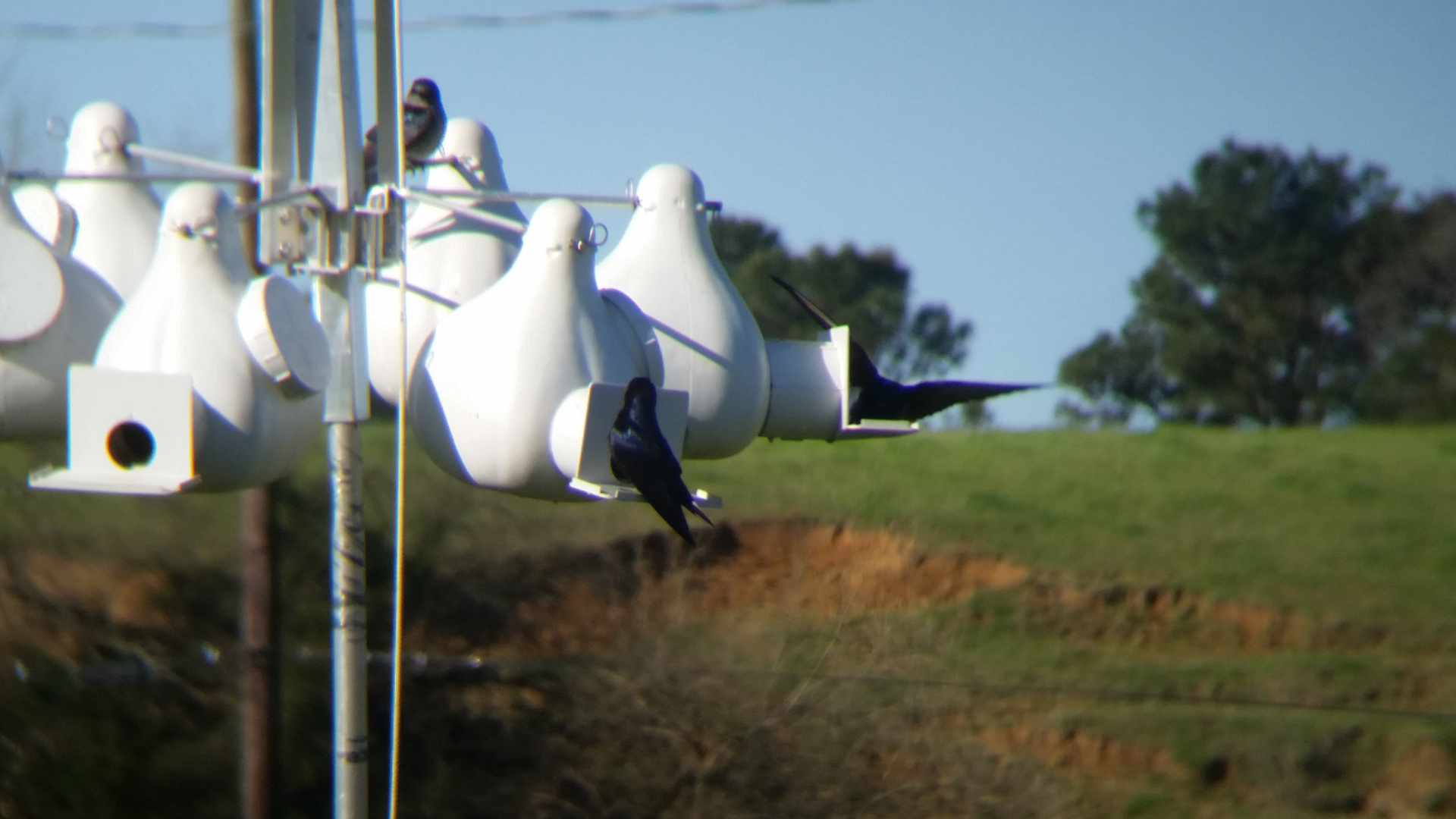 LBY-20180314_092229 – Michael Parrish Blog