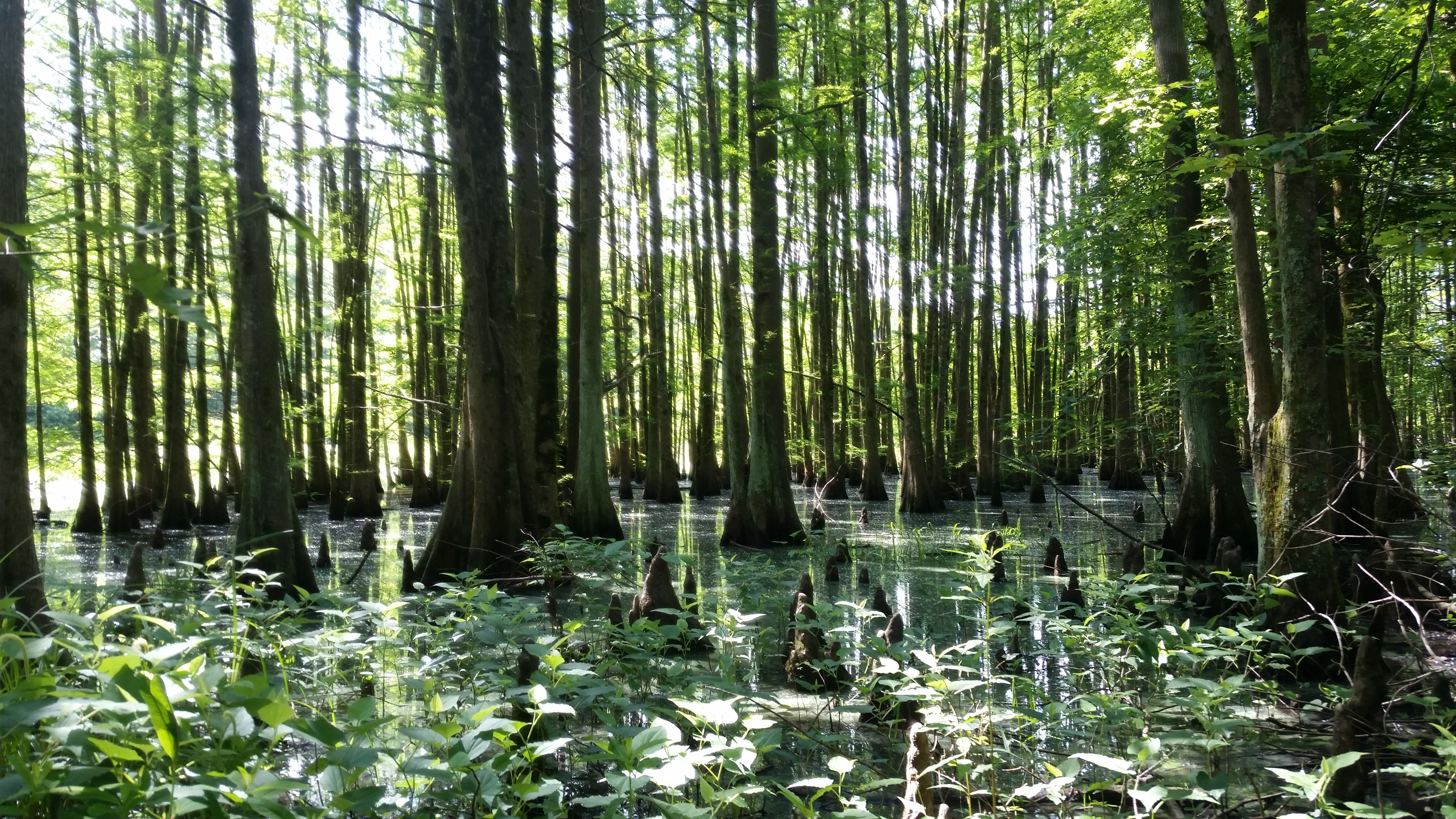 20180522_100006 – Michael Parrish Blog